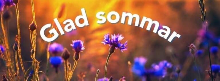 Sommarhälsning från Liberalerna Göteborg - Göteborg